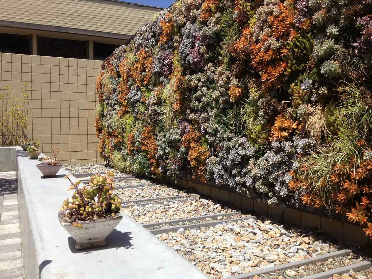 Green Dreams: 10 Inspiring Plant Wall Ideas for Your Space