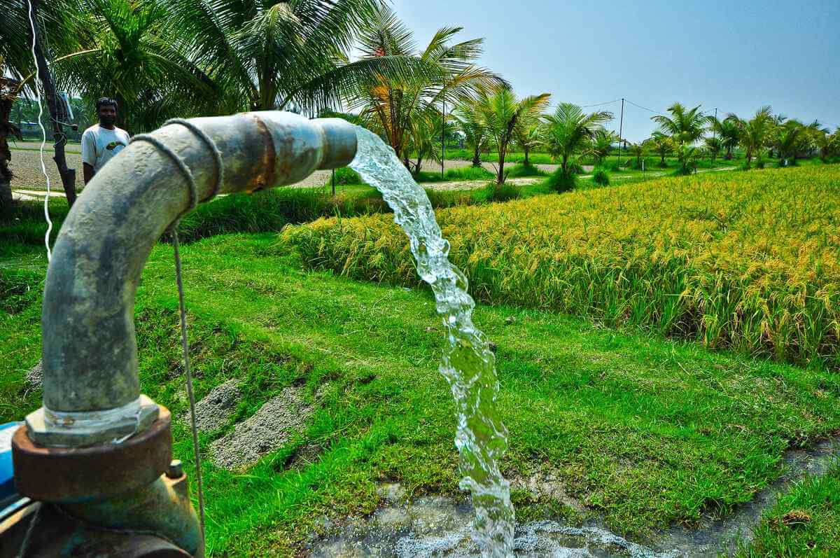 Signs of a Bad Water Pump: Recognizing the Symptoms