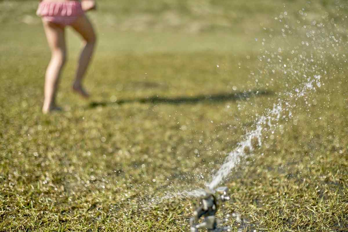 The Ultimate Guide to Choosing a Water Sprinkler System for Your Garden