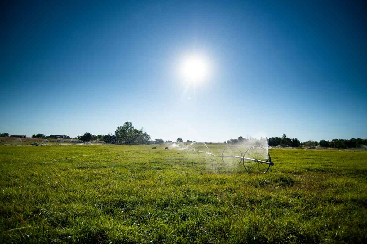 Types of Irrigation Systems: An Essential Guide for Modern Agriculture